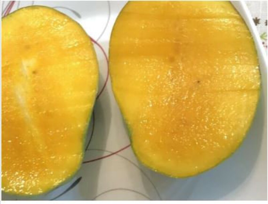 Himsagar Indian Mango One of the Very Best Mango in the World - Etsy