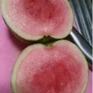 Red Diamond Red Crystal Seedless Guava Crisp Extremely Rare - Etsy