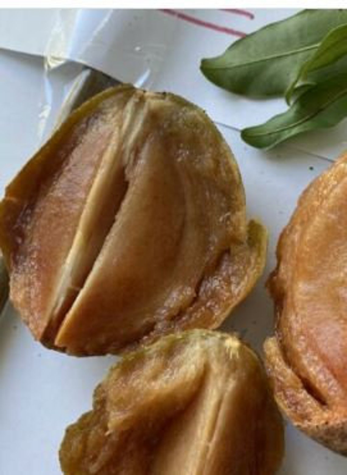 Jumbo Indian Chiku Sapodilla Grafted Best Sapodellias in the - Etsy