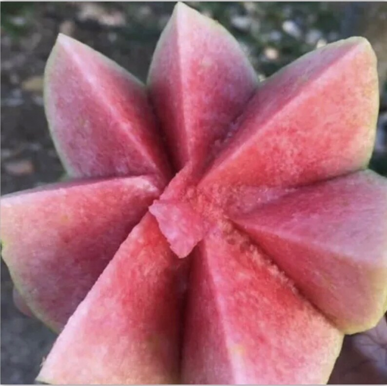 Red Diamond Red Crystal Seedless Guava Crisp Extremely Rare - Etsy