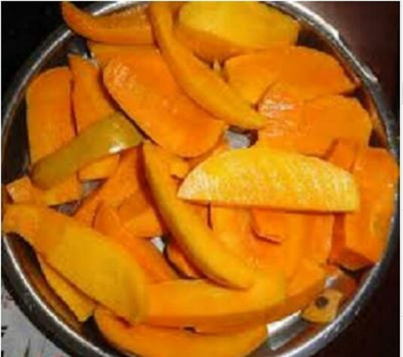 Indian Pakistani Mango Alphonso Tree Grafted One of the Best Mango in ...