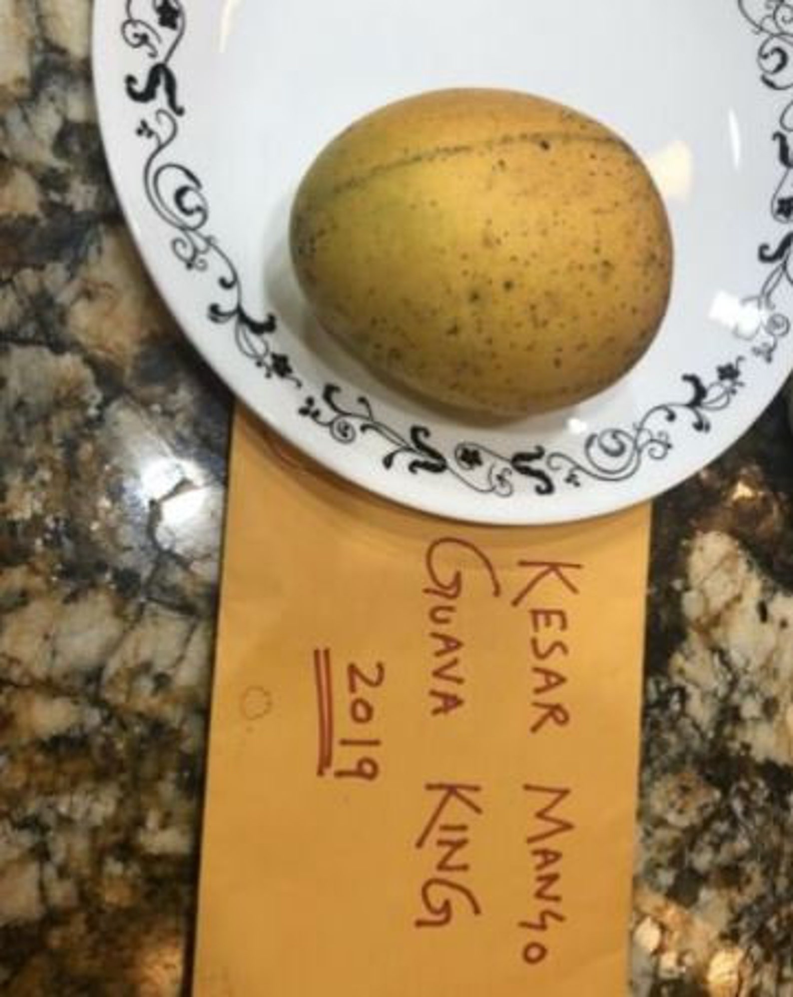 Indian Mango Kesar Tree Grafted One of the Best Mango in the World - Etsy