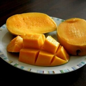 Indian Mango Kesar Tree Grafted One of the Best Mango in the World - Etsy