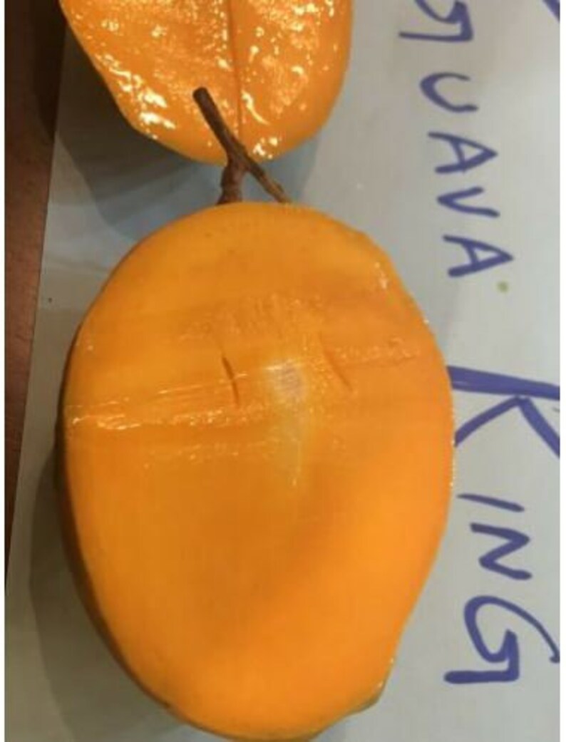 Ugly Betty Mango One of the Very Best Mango in the World - Etsy