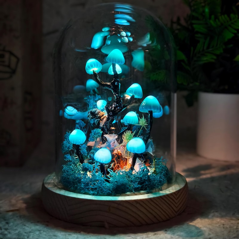 Mushroom Terrarium - Etsy