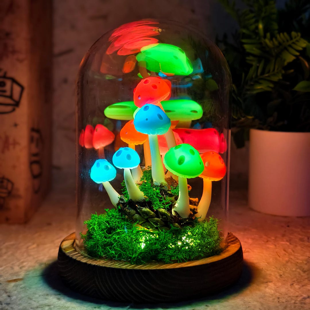 Colorful Glowing Mushroom Terrarium Night Light | LED Fairy Garden Dome ...
