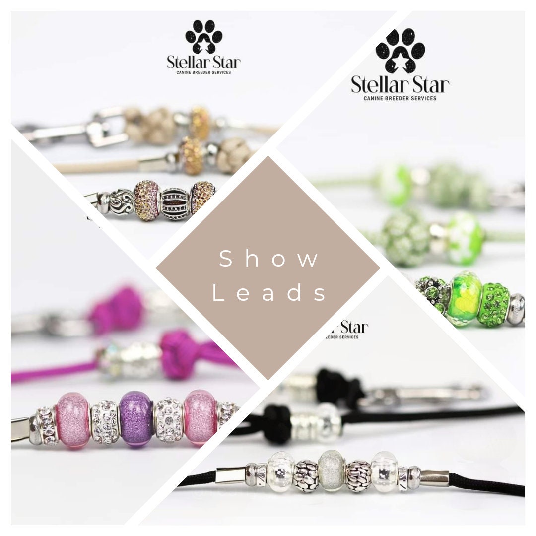Fully Bespoke Show Leads (small Breed Dogs and Cats) - Etsy