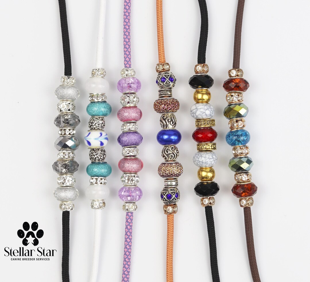 Fully Bespoke Show Leads small Breeds - Etsy