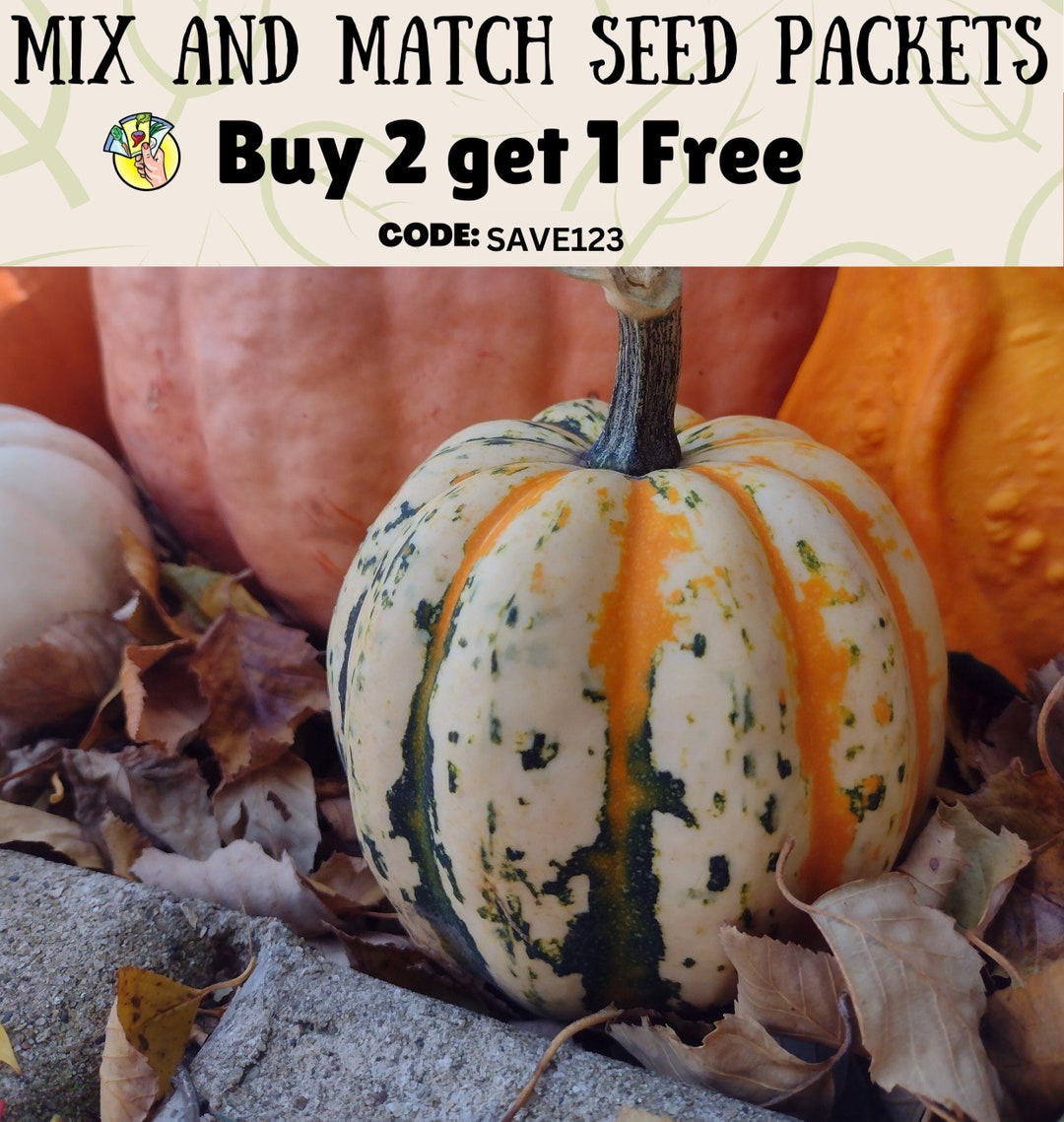 Carnival Squash Seeds, Acorn Squash , Unique Squash , Gourds, Carnival ...