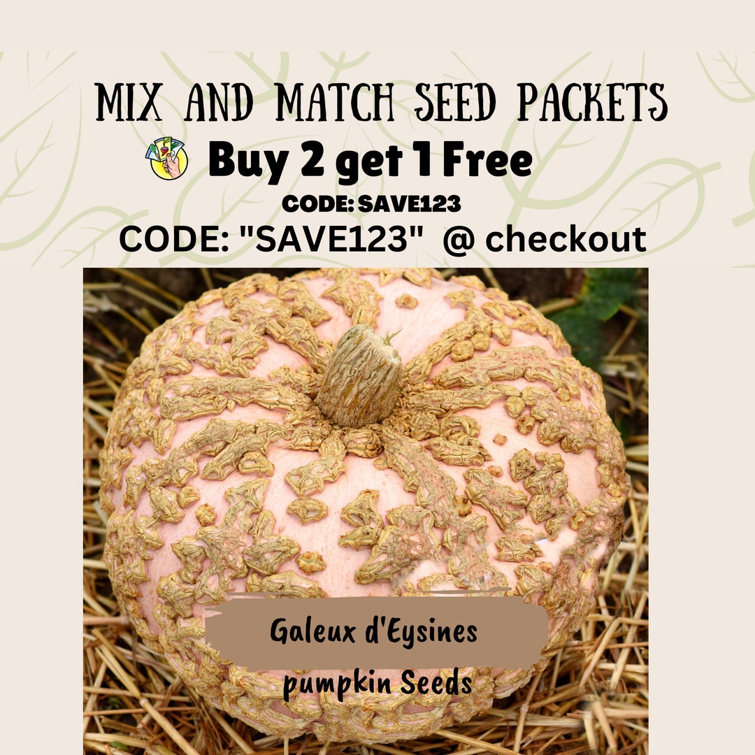 Galeux D'eysines Pumpkin Seeds: Bumpy Peanut Pink Heirloom - Etsy