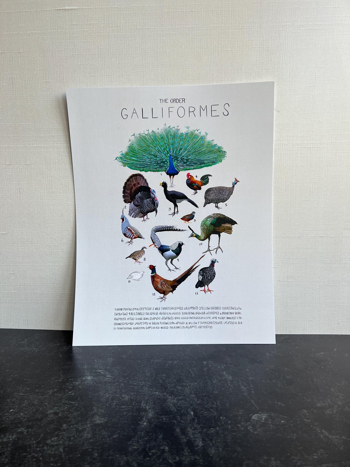 Birds, Heavy Fowl, the Order Galliformes, Scientific Print, Scientific ...