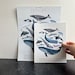 Whales, the Order Cetacea, Scientific Illustration - Etsy