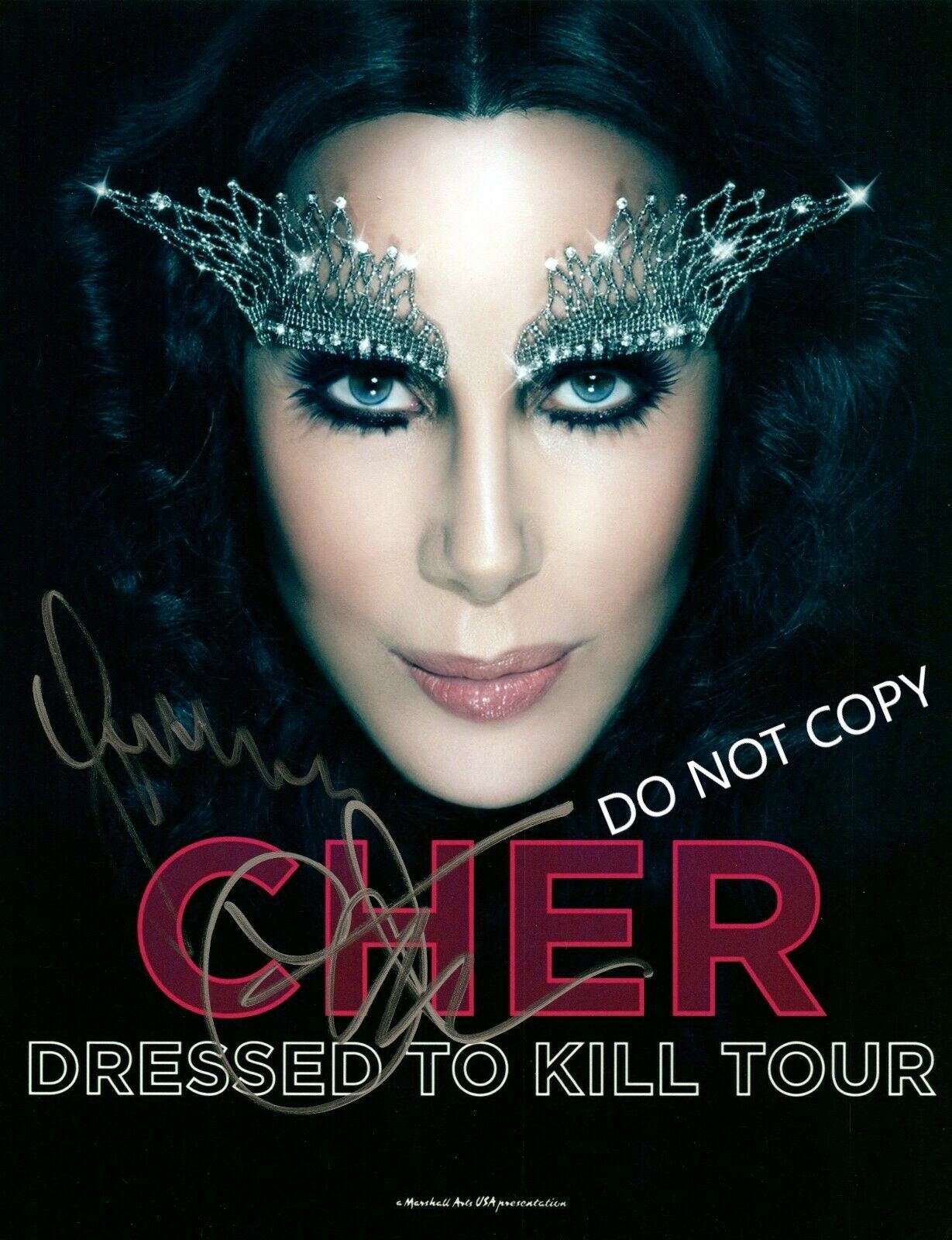 Cher Legendary Singer 8 X10 20x25 Cm Autographed Hand - Etsy UK