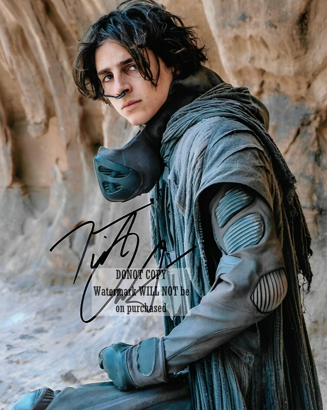 Timothee Chalamet 8 X10 20x25 Cm Autographed Signed Photo - Etsy