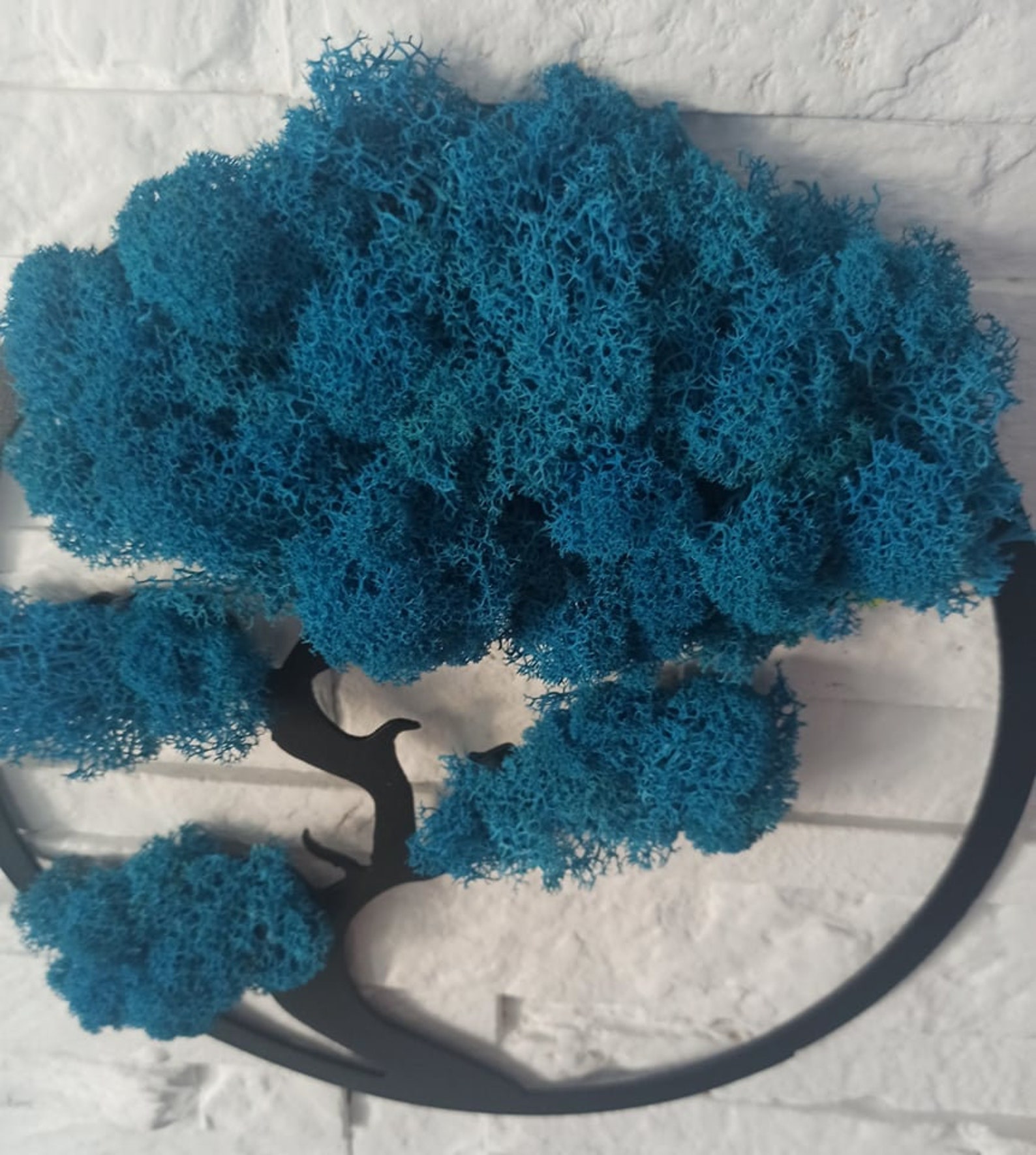 A Vivid Picture of Reindeer Moss. TREE of Moss Composition. - Etsy