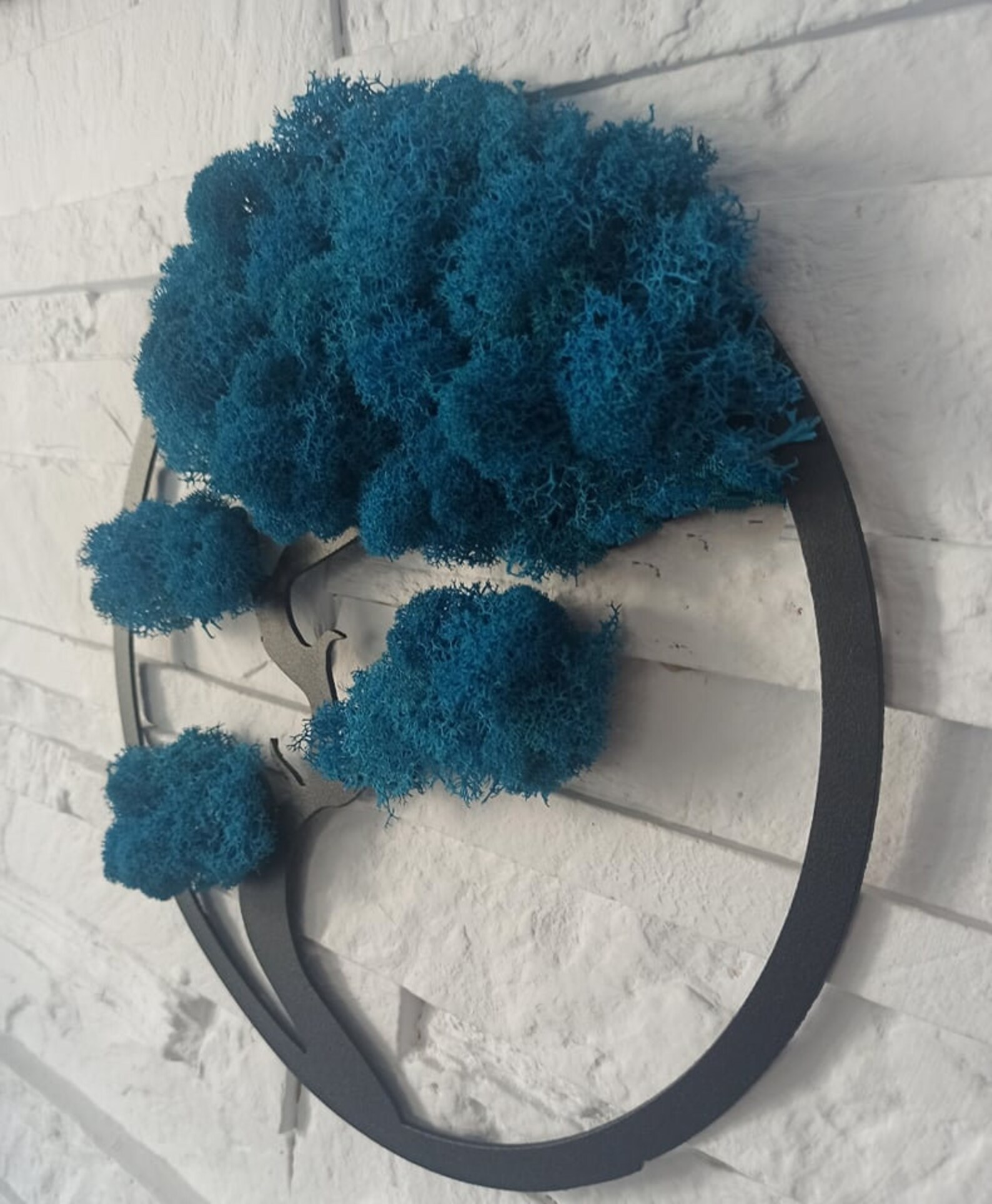 A Vivid Picture of Reindeer Moss. TREE of Moss Composition. - Etsy