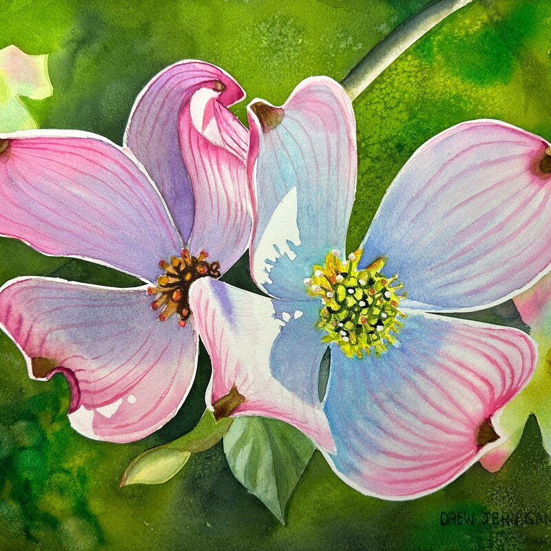 Dogwood Paintings - Etsy