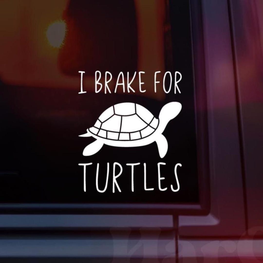 I Brake for Turtles Vinyl Car Window Decal, Funny Car Decals Women ...