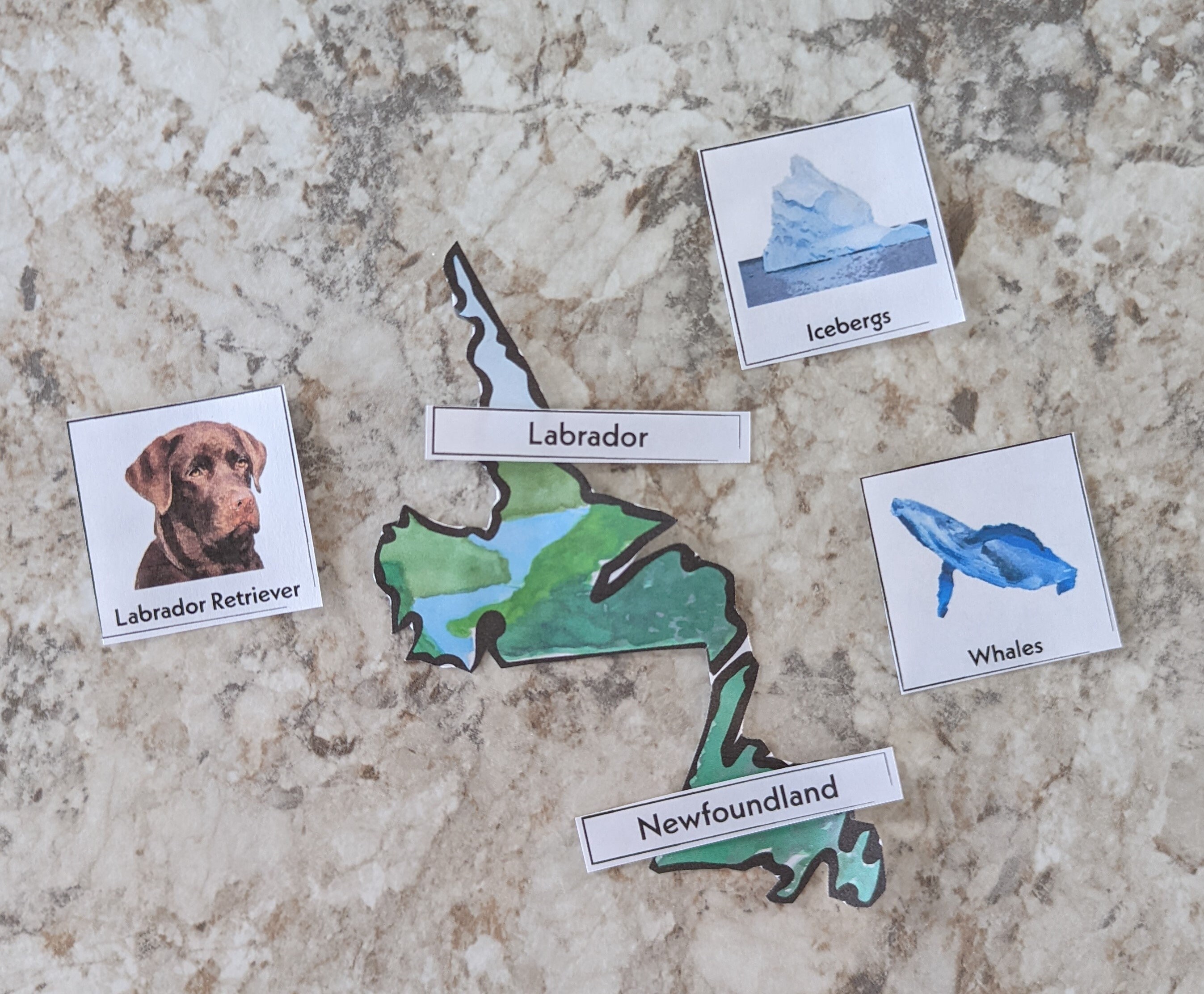 Canadian Geography Canada Provinces Matching Homeschool Exercise - Etsy ...