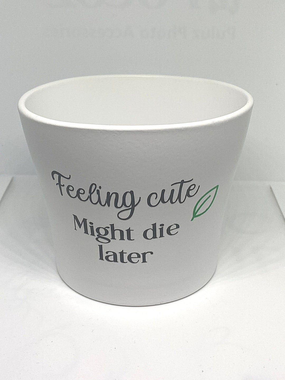 Feeling Cute Plant Pot - Etsy UK