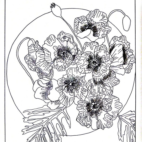 Poppy Coloring Page - Etsy