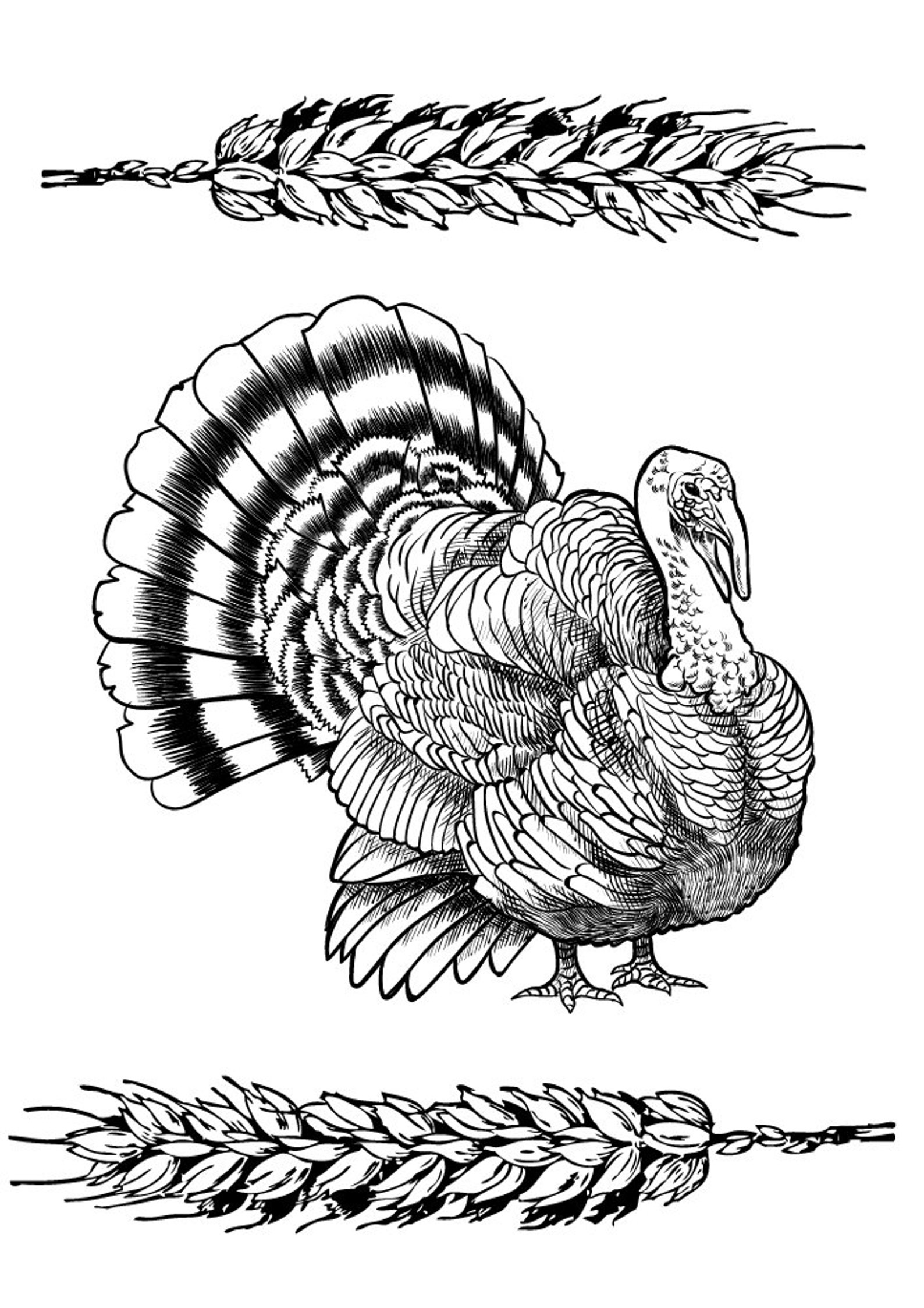 Thanksgiving Coloring Bundle - Etsy