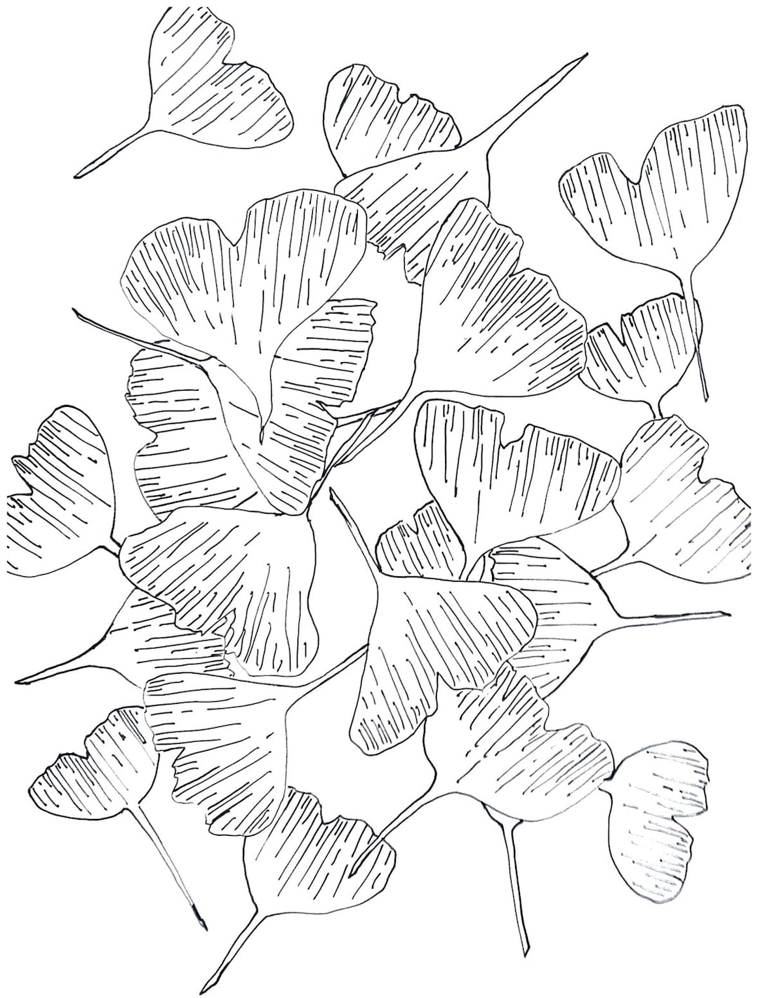 Ginkgo Coloring Page - Etsy Australia