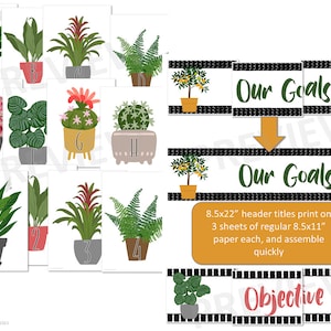 Middle or High School Classroom Decor - Houseplants + Black and White ...