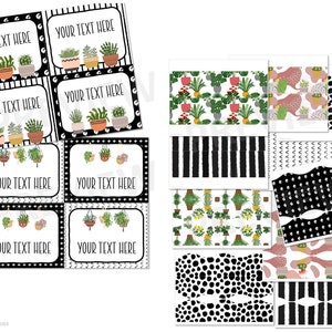 Middle or High School Classroom Decor - Houseplants + Black and White ...