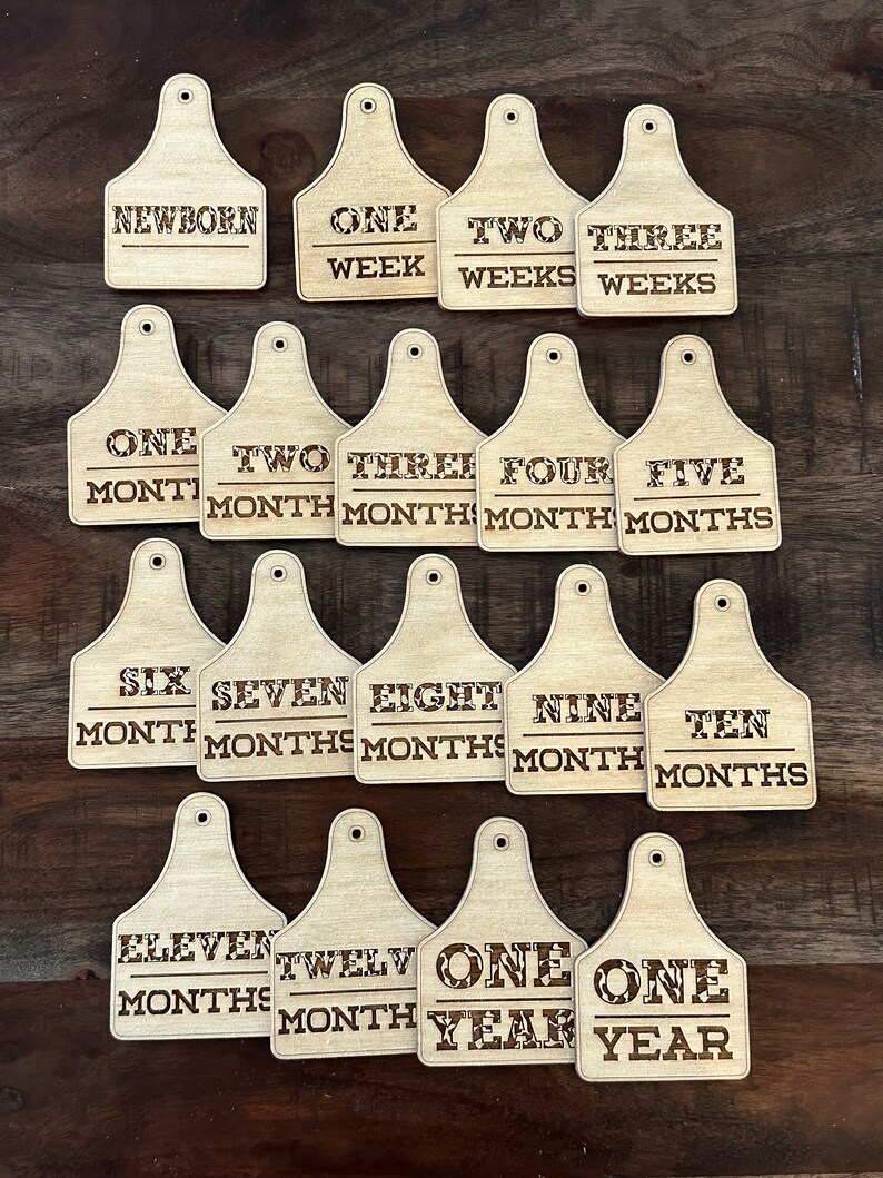 Cow Ranch Baby Milestones, Monthly & Weekly Photography Prop, Cute ...