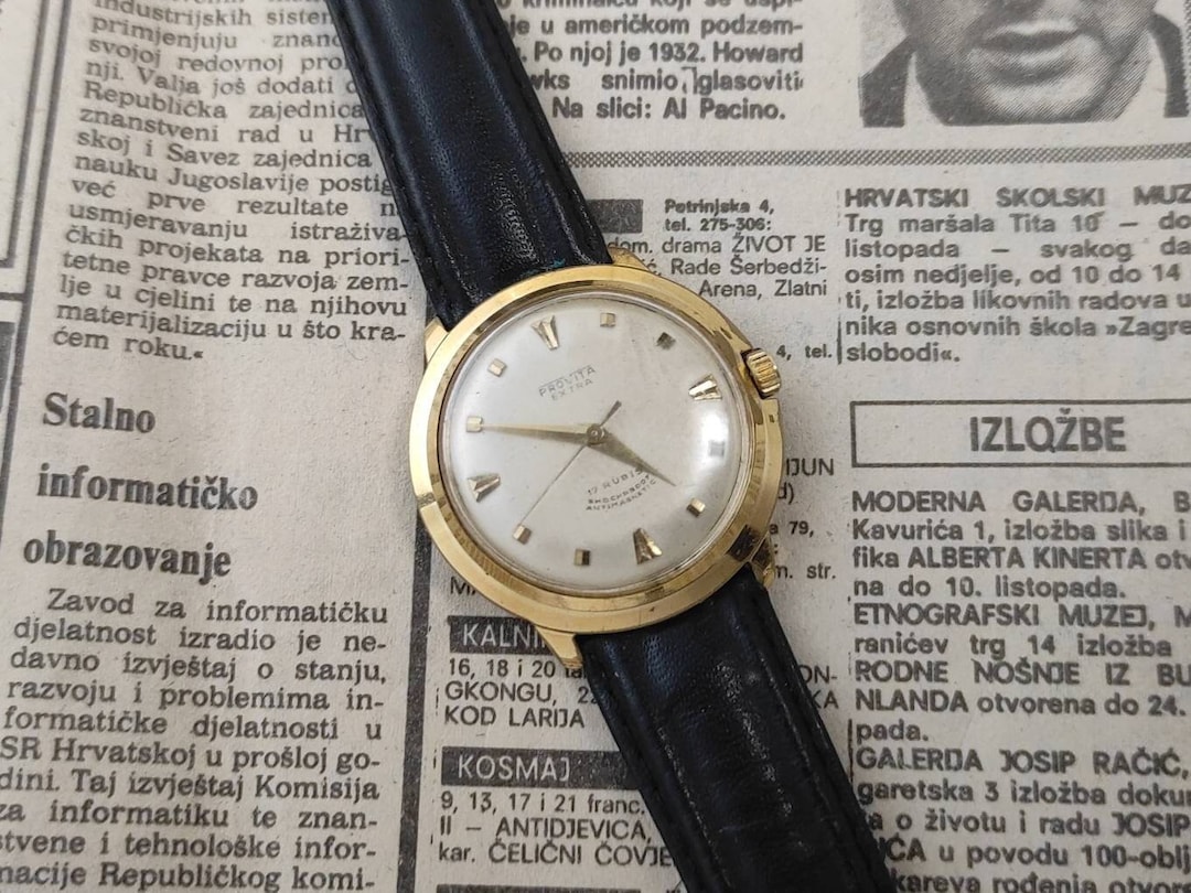 Vintage Provita Extra 17 Rubis Shockproof Antimagnetic Men's Watch Made ...