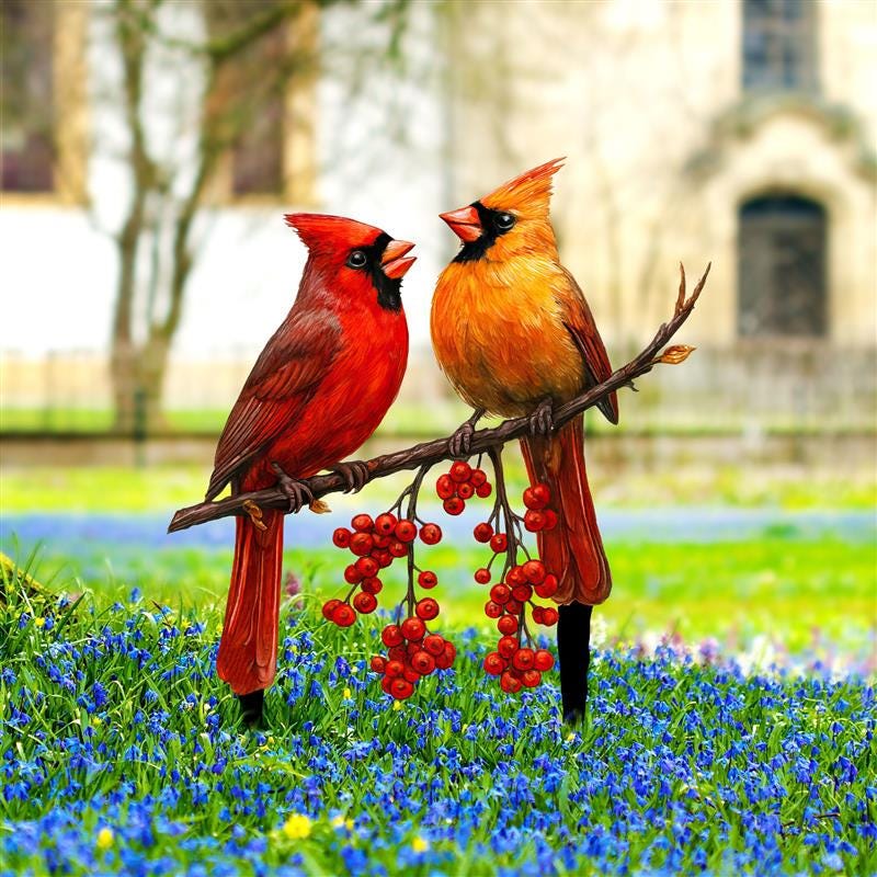 Cardinal Gifts Lawn - 60+ Gift Ideas for 2025