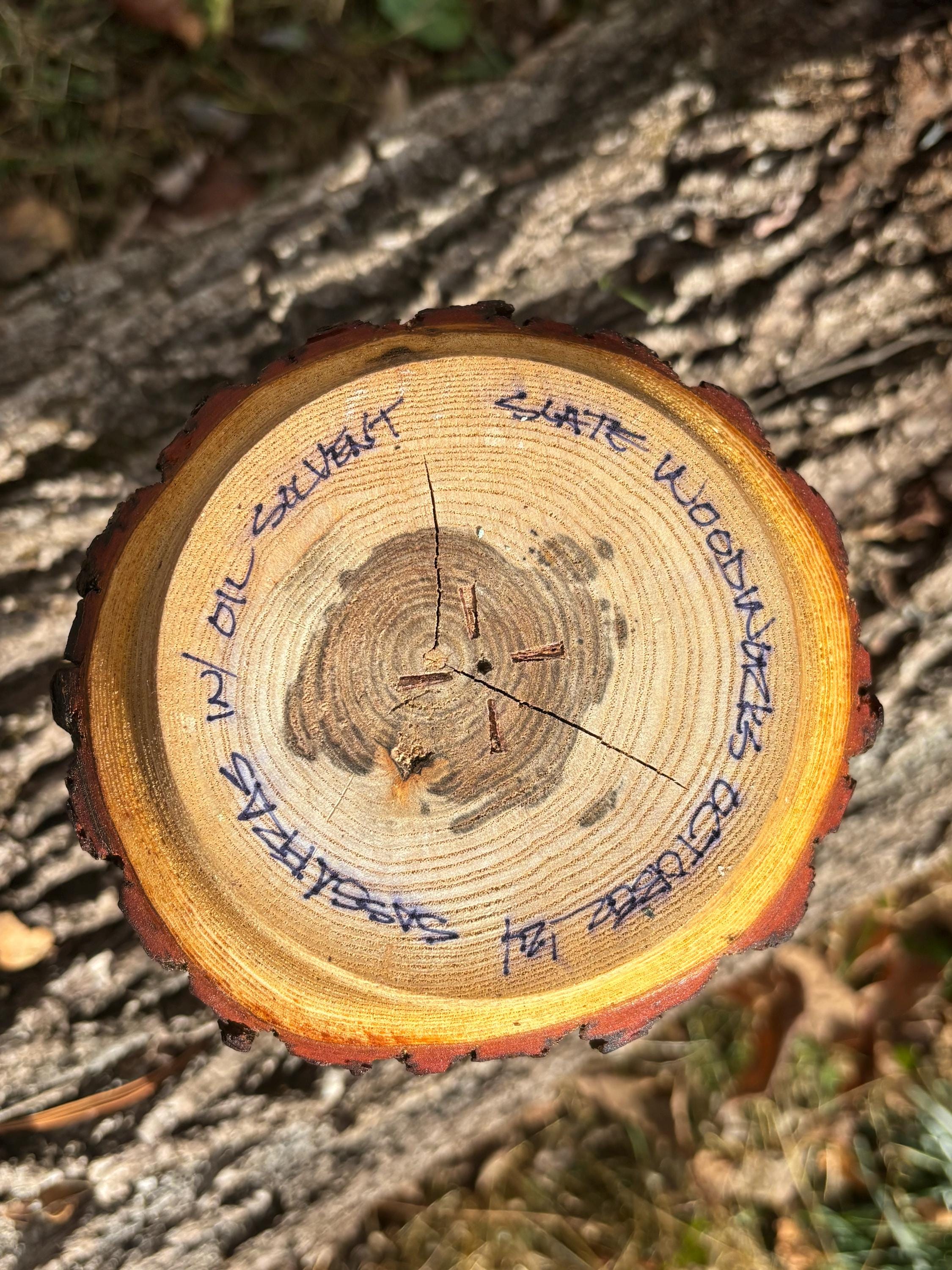 Sassafras Twig Pot - Etsy