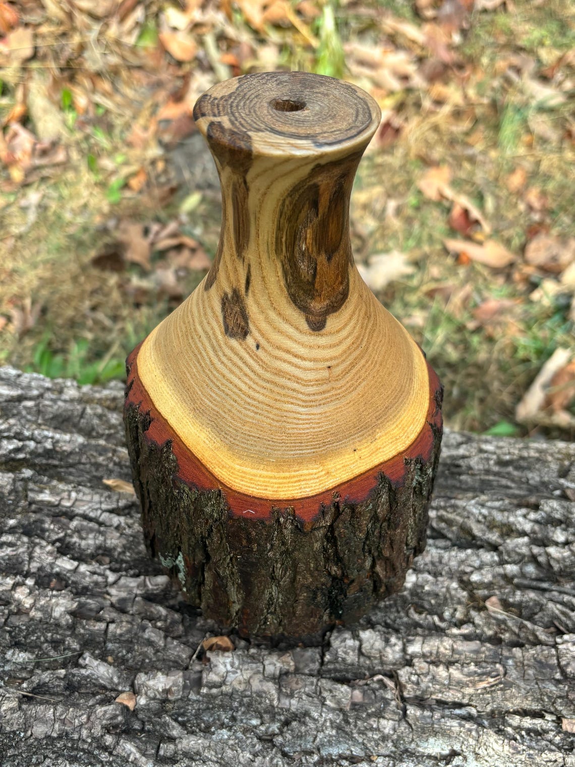 Sassafras Twig Pot - Etsy