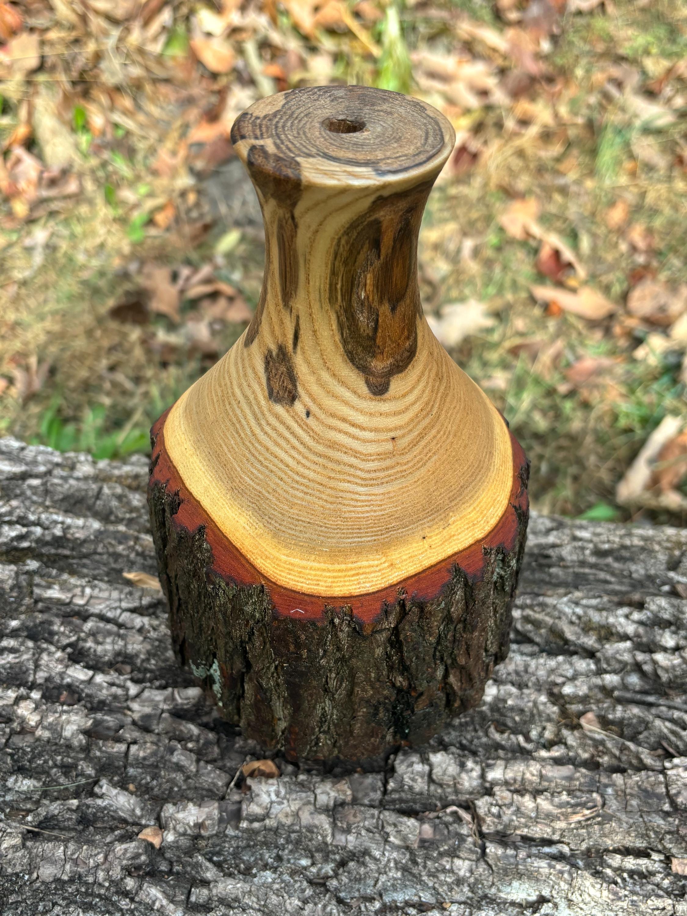 Sassafras Twig Pot - Etsy