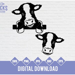 Cows Svg Cricut, Heifer Png, Funny Farm Animal Clipart Download, Face ...