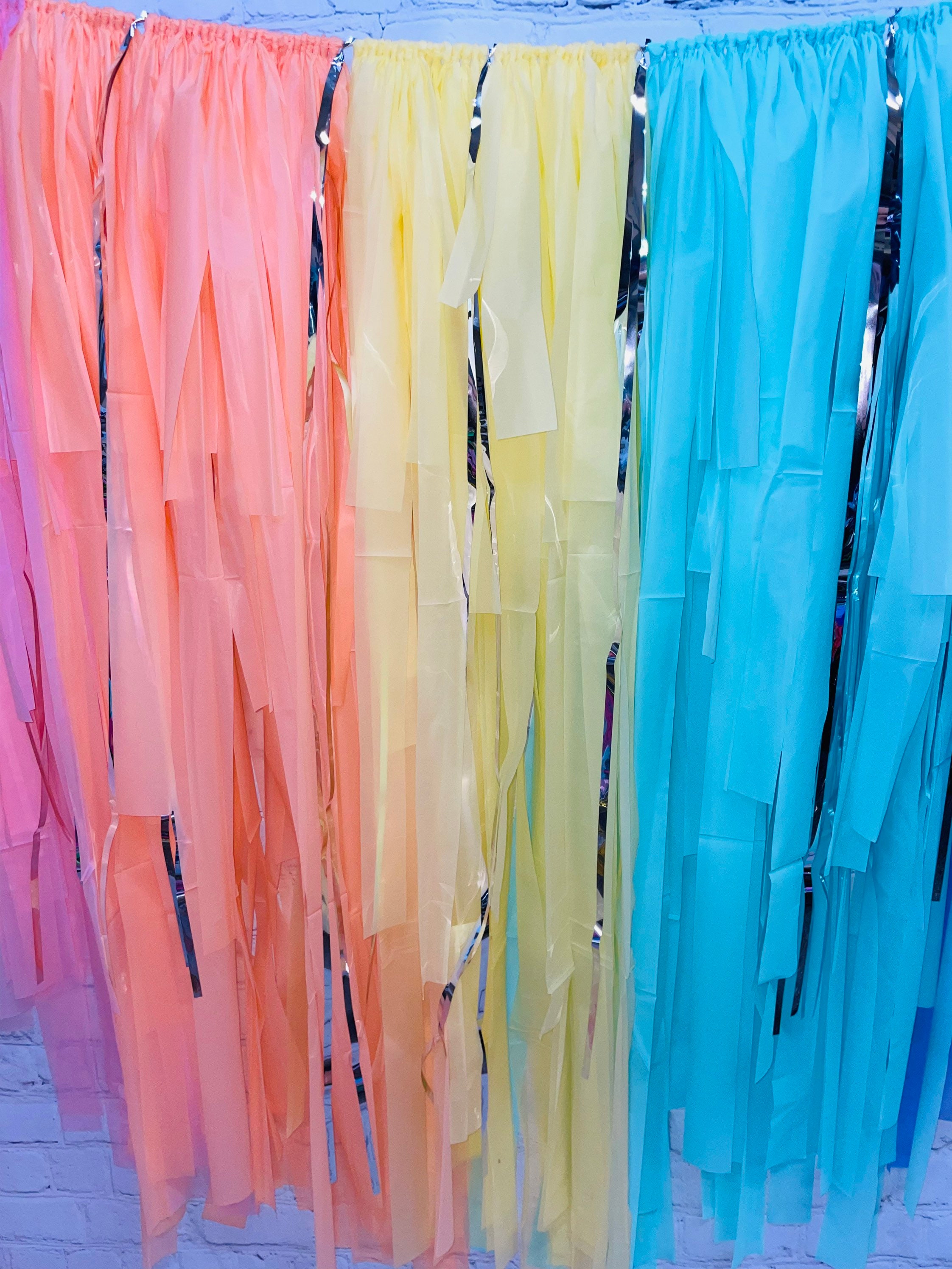Pastel Rainbow Backdrop Plastic Tablecloth Fringe Backdrop - Etsy