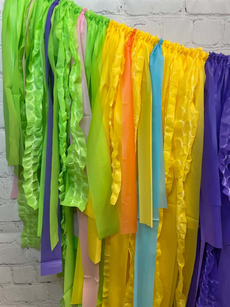 Birthday Backdrop Plastic Tablecloth Fringe Backdrop - Etsy