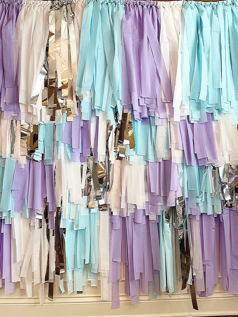 Elsa Anna Backdrop, Fringe Backdrop, Streamer Backdrop, Wall Backdrop ...