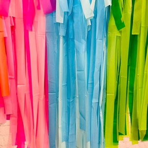 Fiesta Backdrop Streamer Backdrop Plastic Tablecloth | Etsy