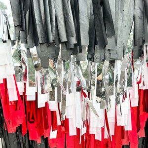 Graduation Backdrop, Sports, Streamer Backdrop, Streamer Wall ...