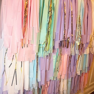 Photo Backdrop, Pastel Backdrop, Streamer Backdrop, Birthday, Easter ...
