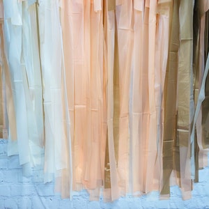 Neutral Backdrop, Muted Backdrop, Plastic Tablecloth Fringe Backdrop ...