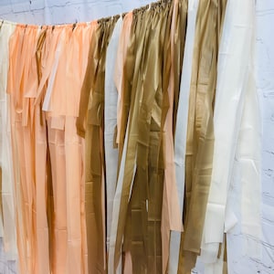 Neutral Backdrop, Muted Backdrop, Plastic Tablecloth Fringe Backdrop ...