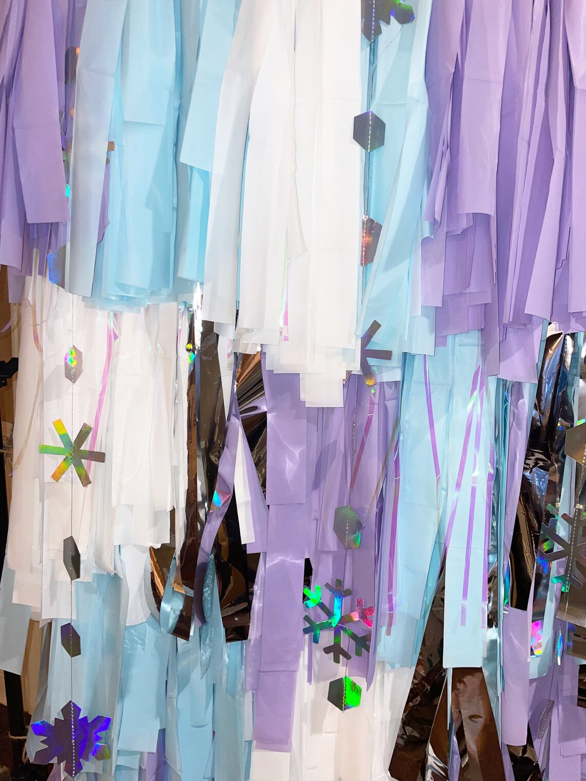 Elsa Anna Backdrop, Fringe Backdrop, Streamer Backdrop, Wall Backdrop ...