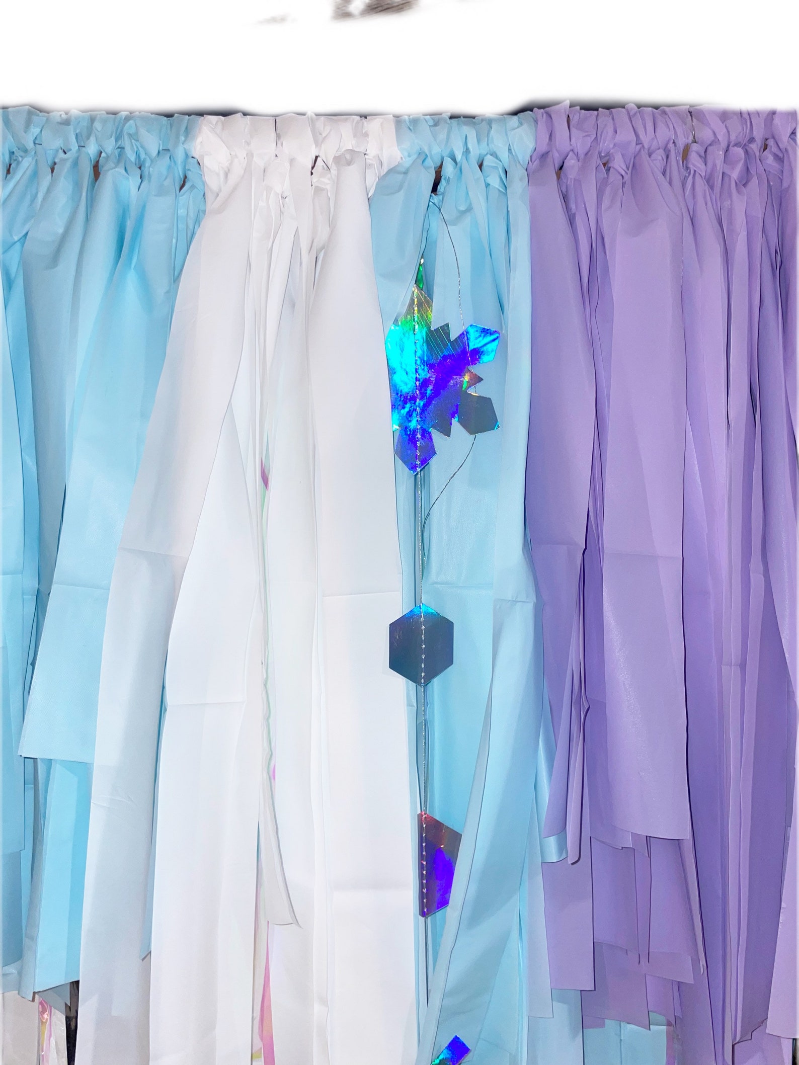 Elsa Anna Backdrop, Fringe Backdrop, Streamer Backdrop, Wall Backdrop ...