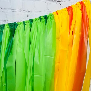 Fiesta Backdrop, Streamer Backdrop, Plastic Tablecloth Backdrop, Fringe ...