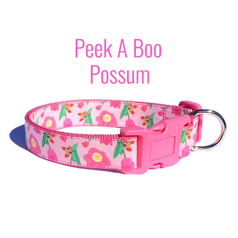 Peek a Boo Jungle - Etsy