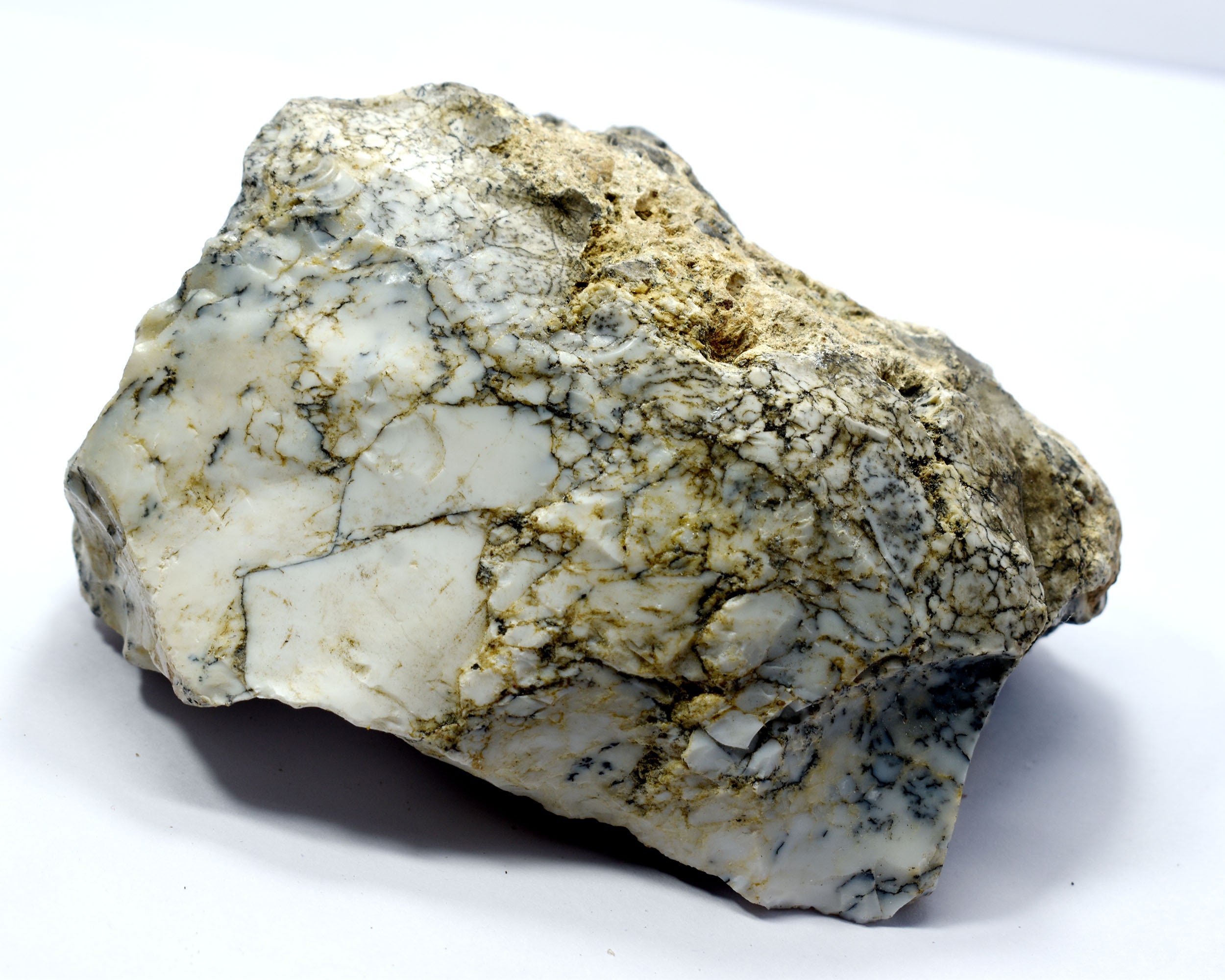 Natural Dendritic Opal Rough Gemstone,dendritic Opal Raw Slices ...