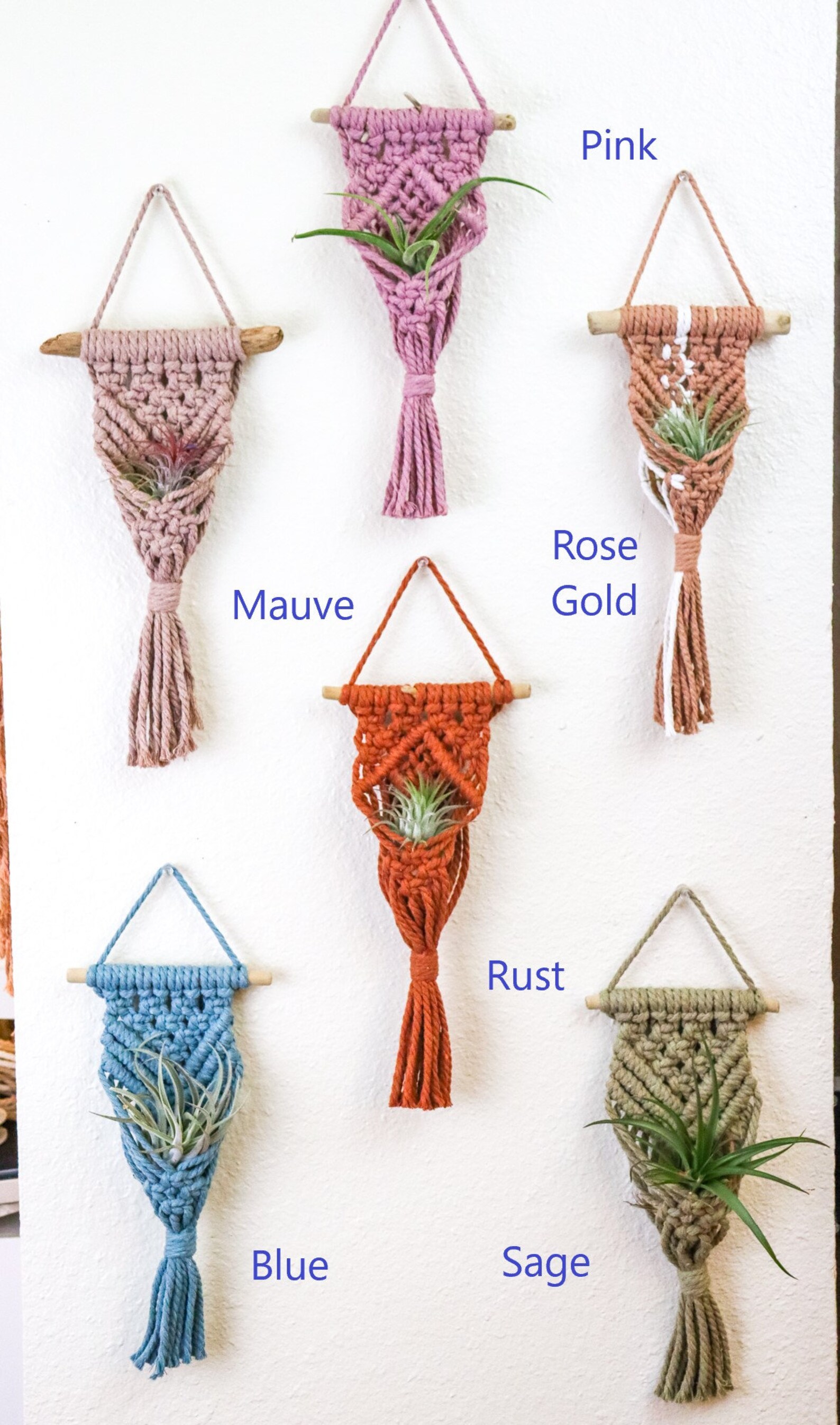 Air Plant Hanger Mini Macrame Hanging | Etsy